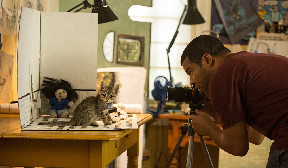 Famous Cats Throughout Film History