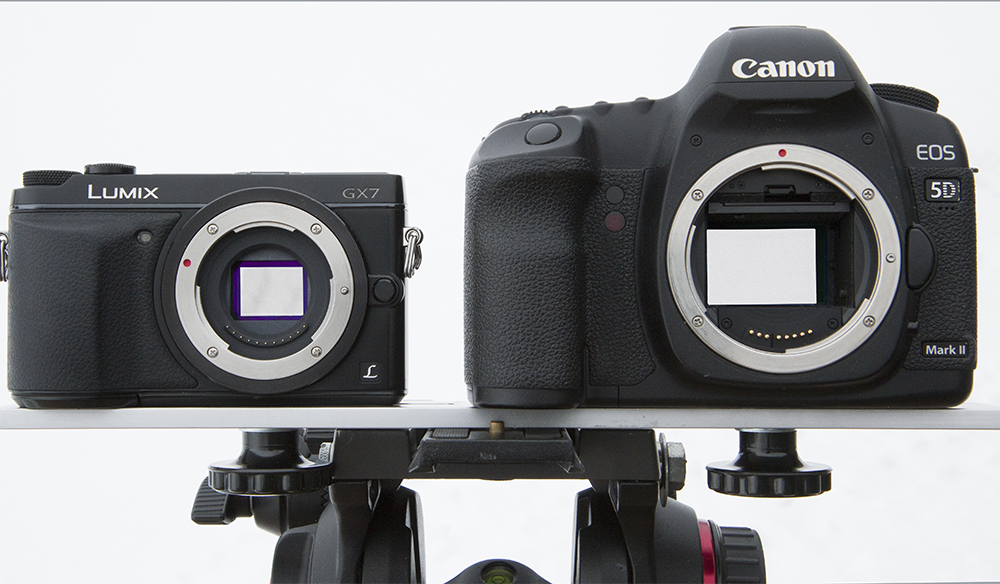 Small Chip Big Chip Micro 4 3 Vs Full Frame Image Magnification