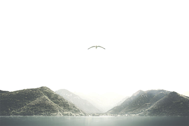 4 Ways Still Photography Can Make You a Better Cinematographer