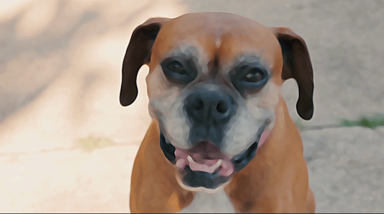 How to Create a Watercolor Painting Look in After Effects