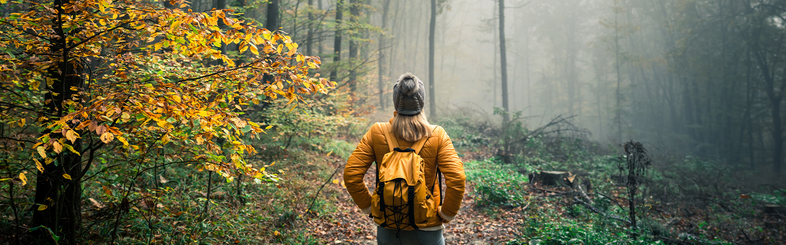 Fresh Tracks: The Best New Royalty-Free Music Released in November ...