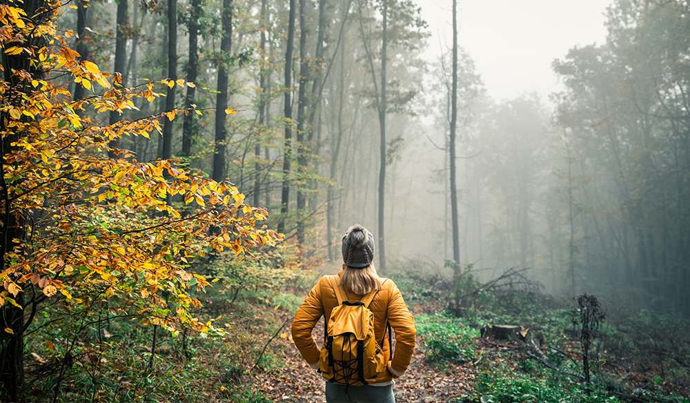 Fresh Tracks: The Best New Royalty-Free Music Released in November ...